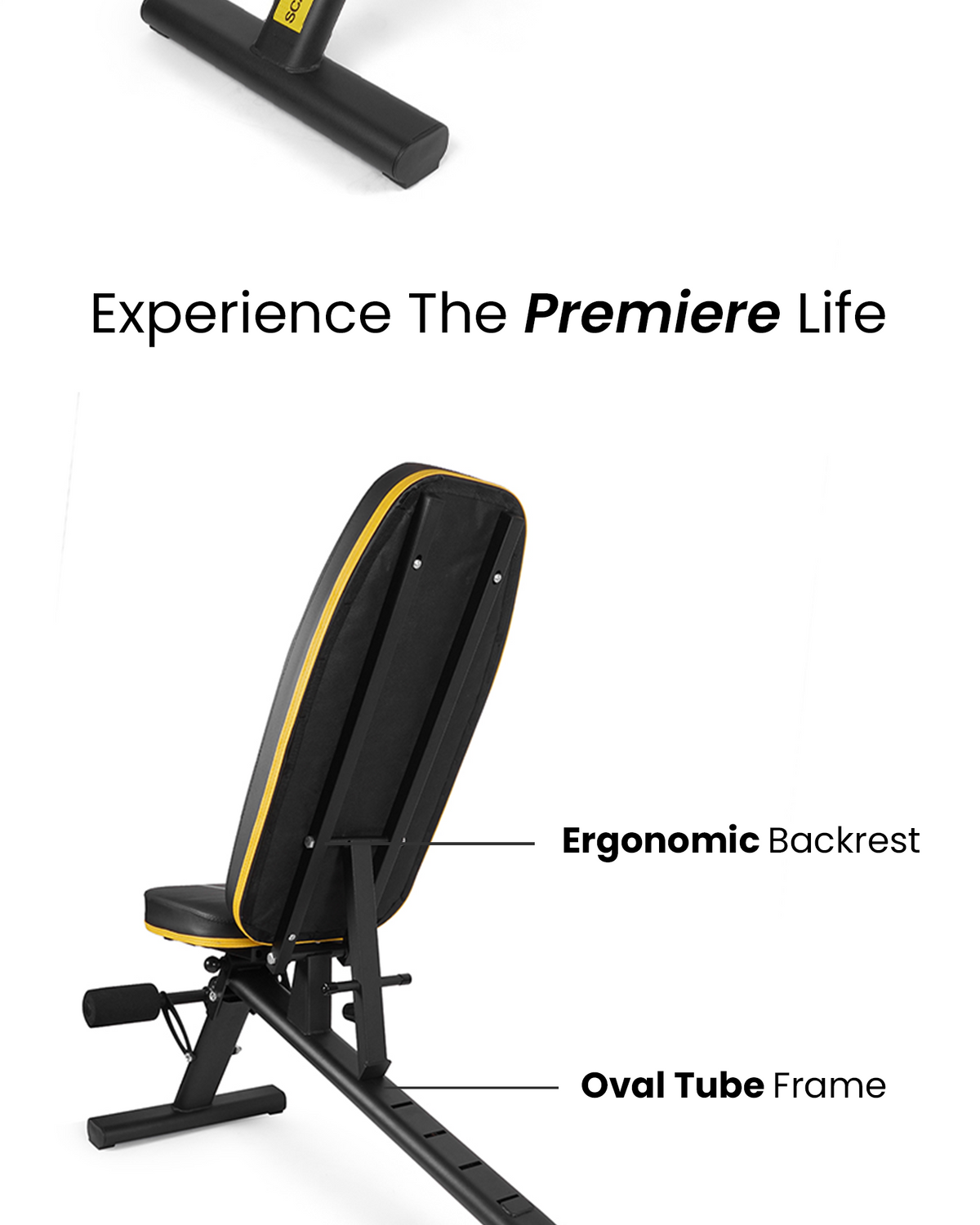 Adjustable Bench Premiere – thecubeclub